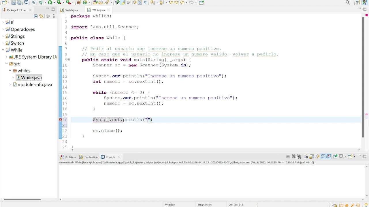 Argentina Programa JAVA - While y Do While - YouTube
