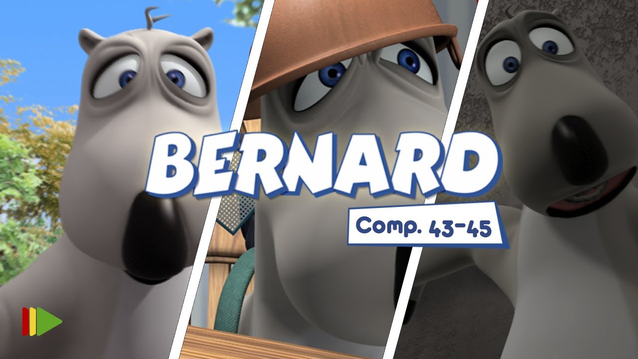 Bernard Bear - 43-45 | Compilation - YouTube