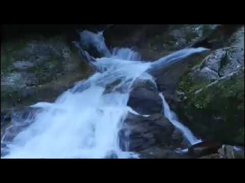 Beyim agazade https://www.instagram.com/orxan_ismayiloglu