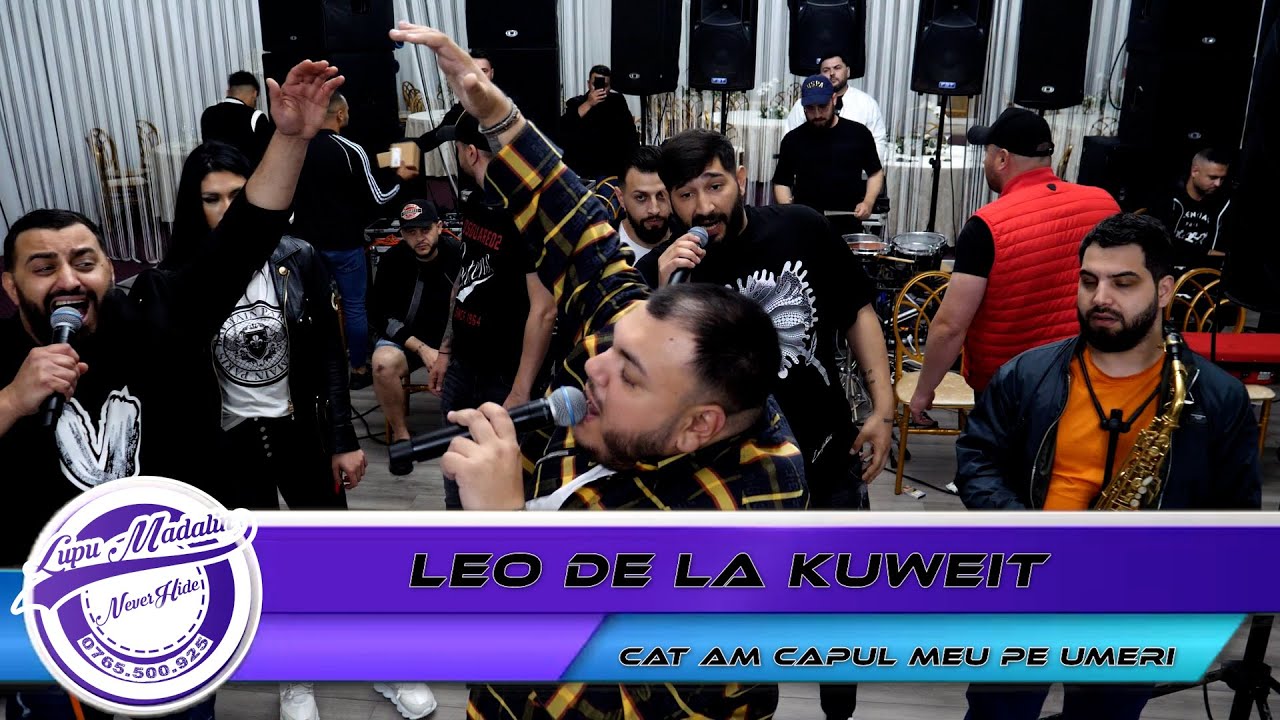 Leo de la Kuweit - Cat am capu meu pe umeri by 👍🏻NeverHideEvents🔔 - YouTube