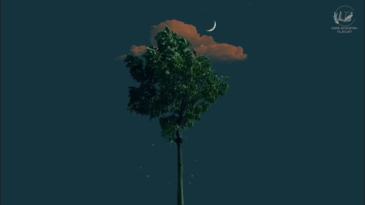 romanticizing studying playlist | part 2 - YouTube