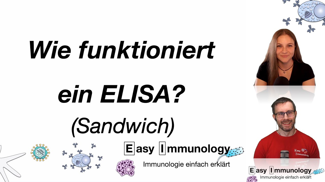 Methoden: Wie funktioniert der (Sandwich) ELISA? - YouTube
