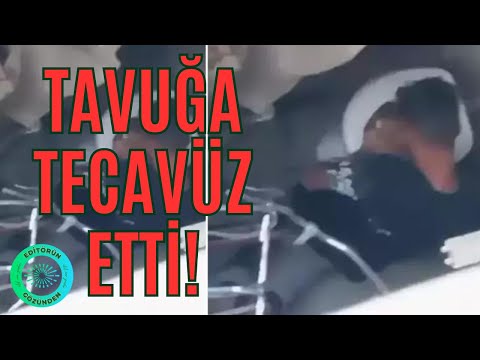 Tavuğa Tecavüz Etti! I Editörün Gözünden'de