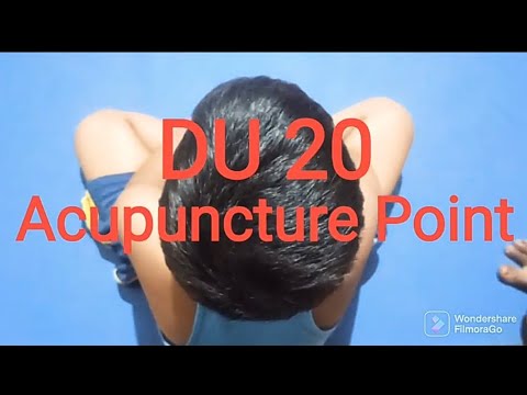 DU 20 Acupuncture Point - Function. - YouTube