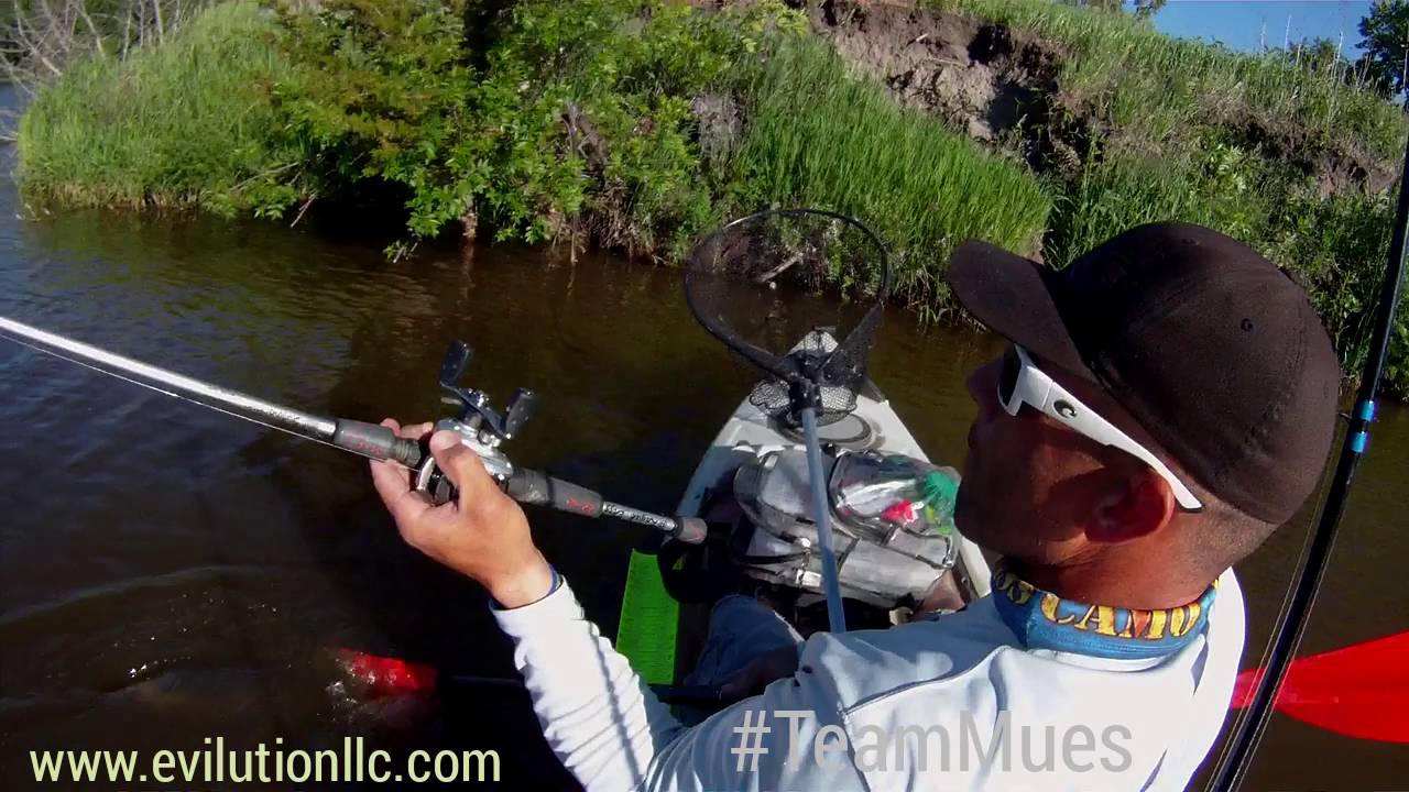Killer Catfish Fight! Evilution Lures - YouTube