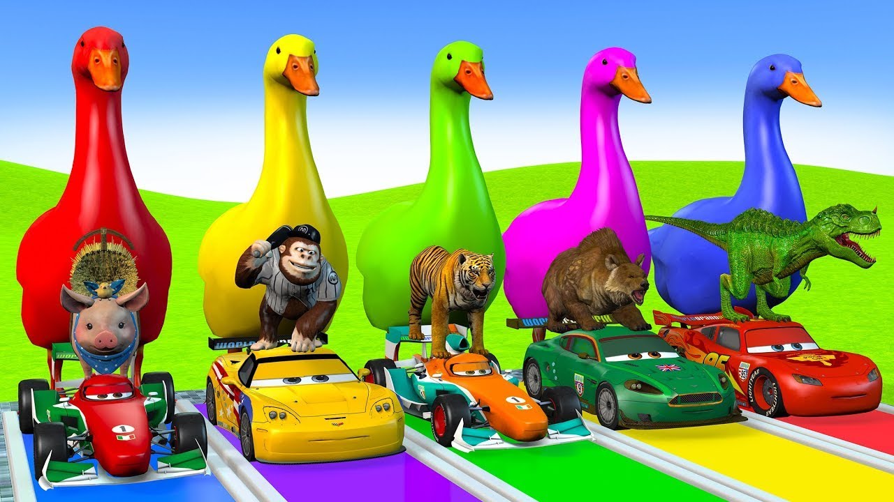 Crazy Animal & Car Racing with Giant Ducks | Fun Cartoon Race for Kids ...