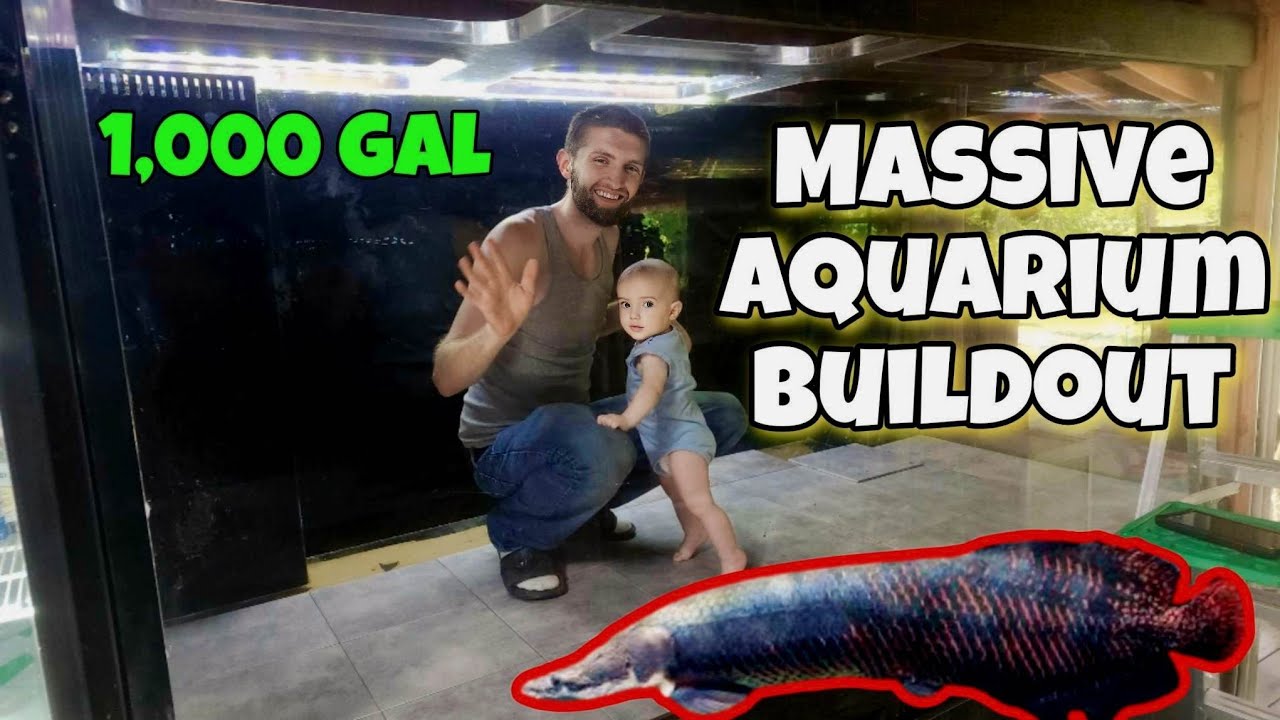 $25,000 Massive Fish Tank // Setup and DIY Buildout - YouTube