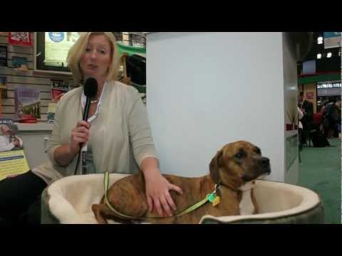 This dog was saved from gas chambers