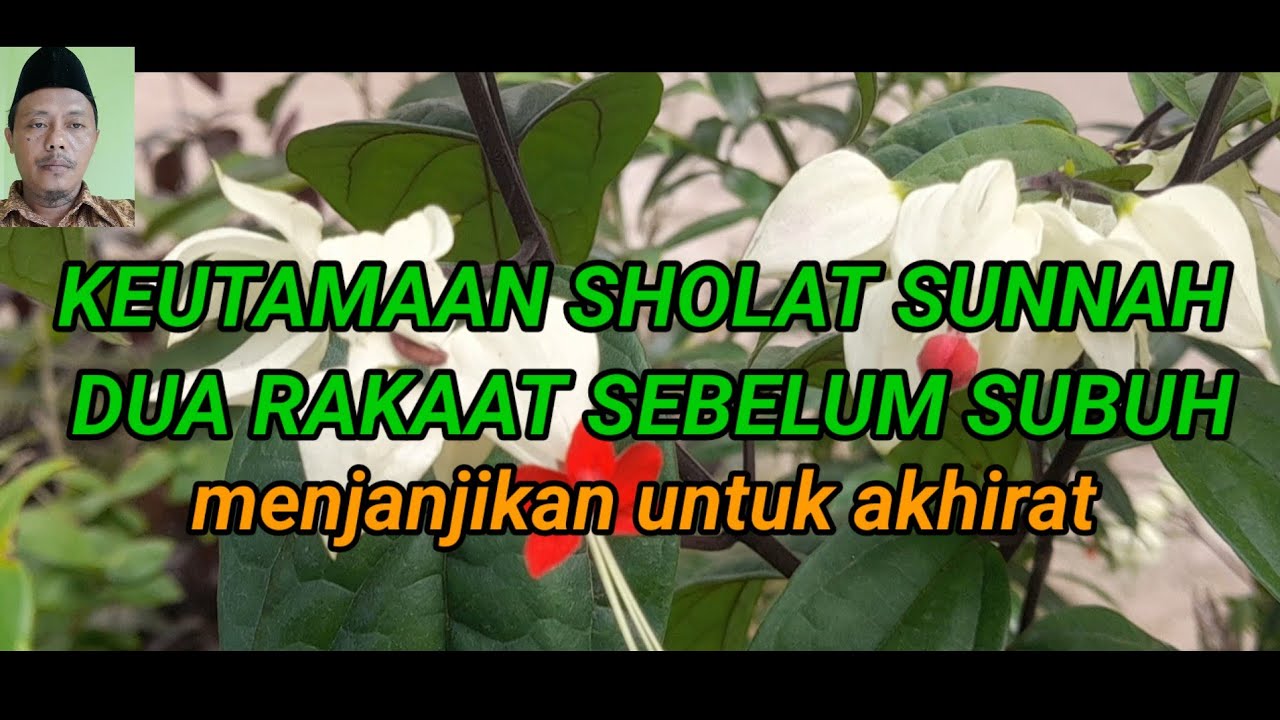 KEUTAMAAN SHOLAT SUNNAH DUA RAKAAT SEBELUM SUBUH - YouTube