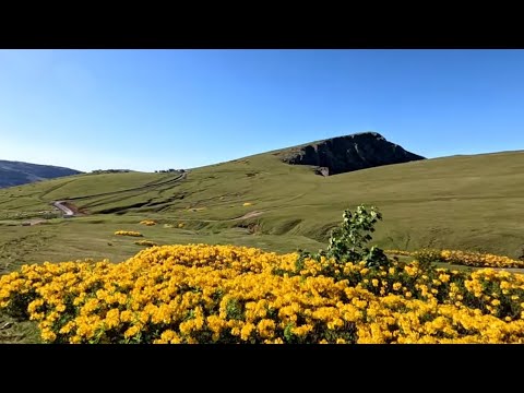 Doğa İçin Vakittir | Sis Dağı Yaylası Özel Görüntüler ve Gizli Şelale #sisdağı