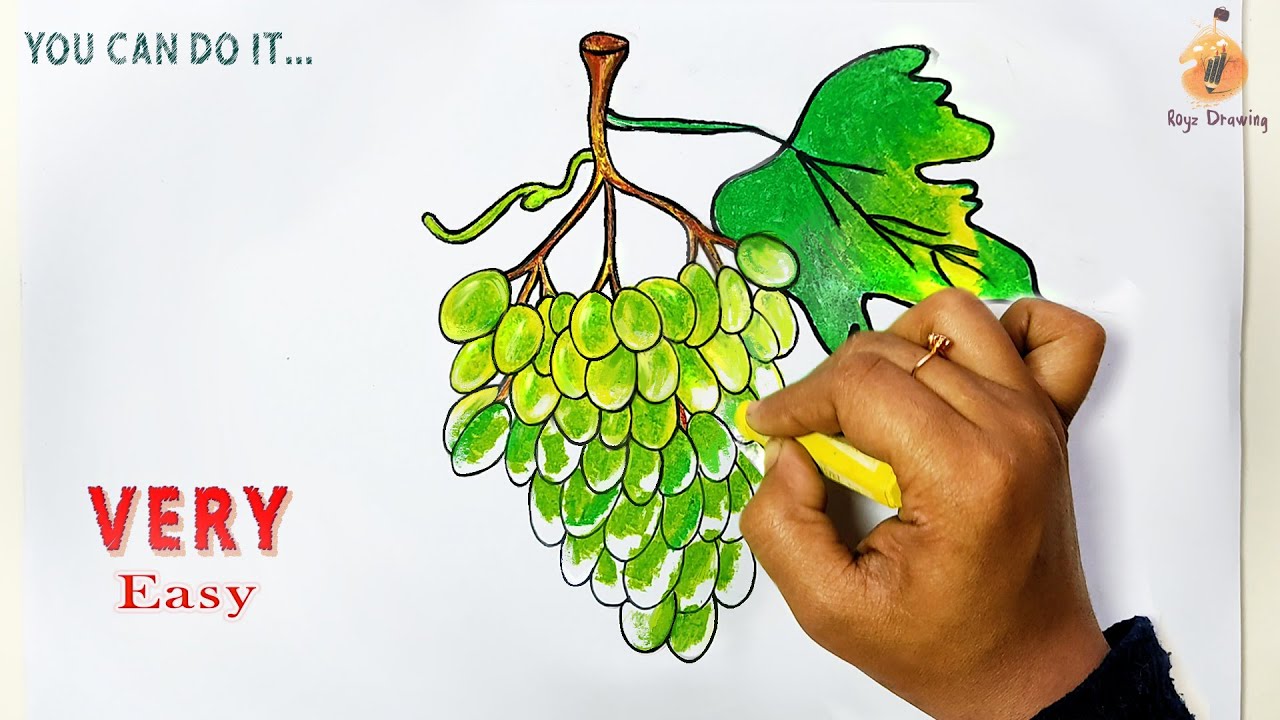 How To Draw Grapes Step By Step || Grapes Drawing Easy ️ - YouTube