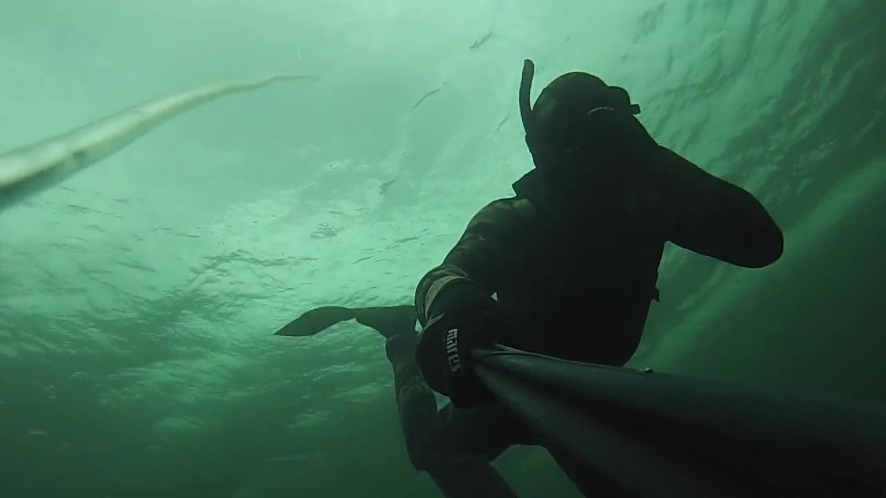 Freediving - Spearfishing Norway - YouTube