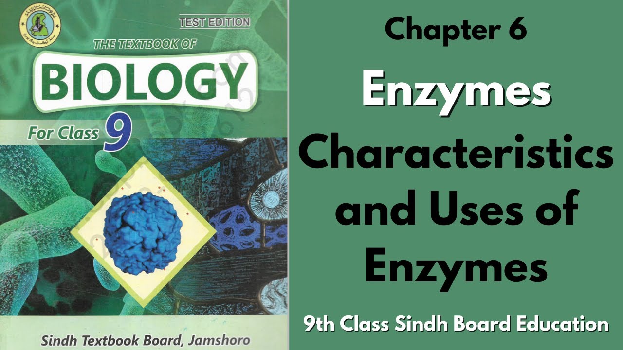 Characteristics and Uses of Enzymes - Chapter 6 - Enzymes - 9th class ...