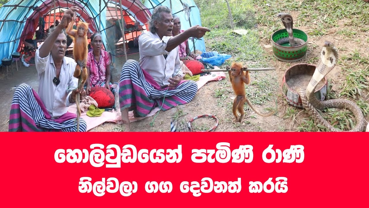 රාණි කරපු හාස්කම් ශක්තිය මෙන්න - YouTube