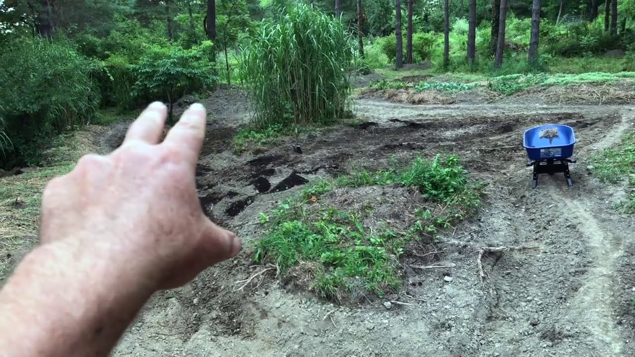 Hand Dug Pond - 2 - Making Progress - YouTube