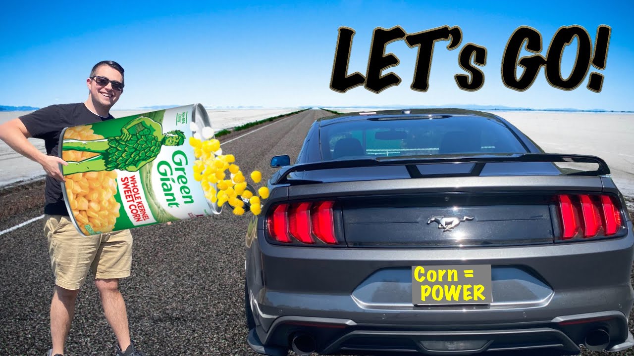 UNLEASHING The Power Of E30 In My Mustang Ecoboost! - YouTube