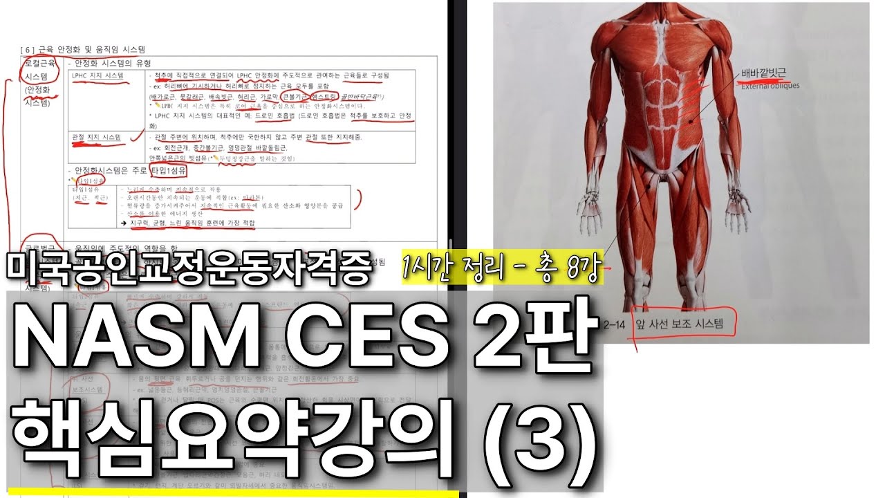 [ NASM CES 2판 ] 핵심요약강의 3강 (요약정리,문제집제공) - YouTube