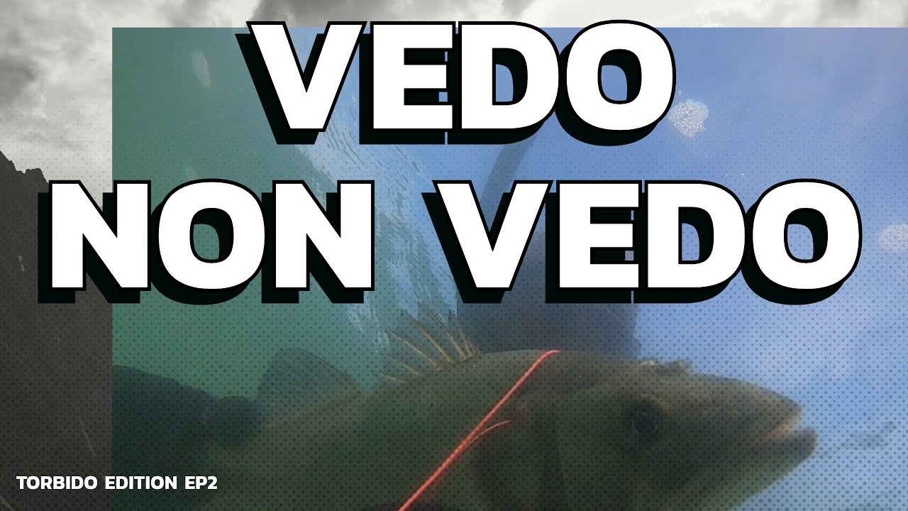 VEDO NON VEDO torbido edition #2 - YouTube