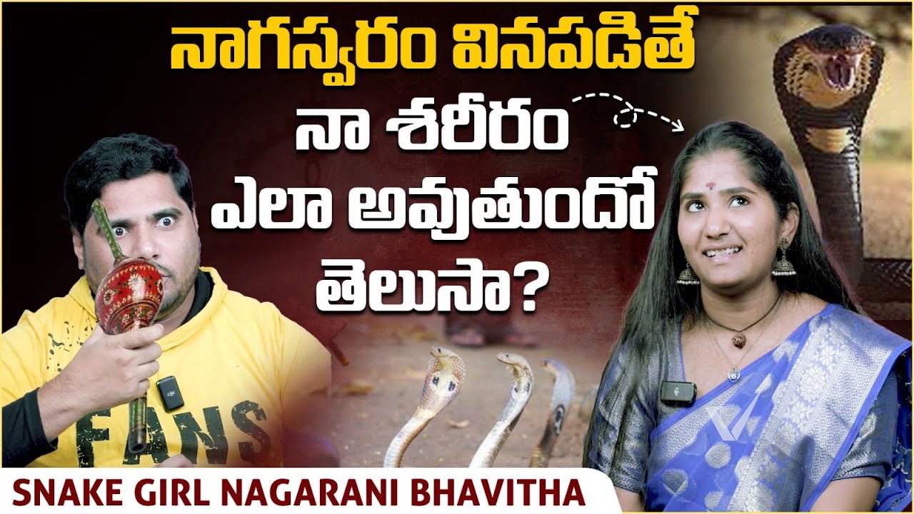 నాగస్వరం వినపడితే | Nagakanya Bhavitha Key Facts Revealed on Nagaswaram ...