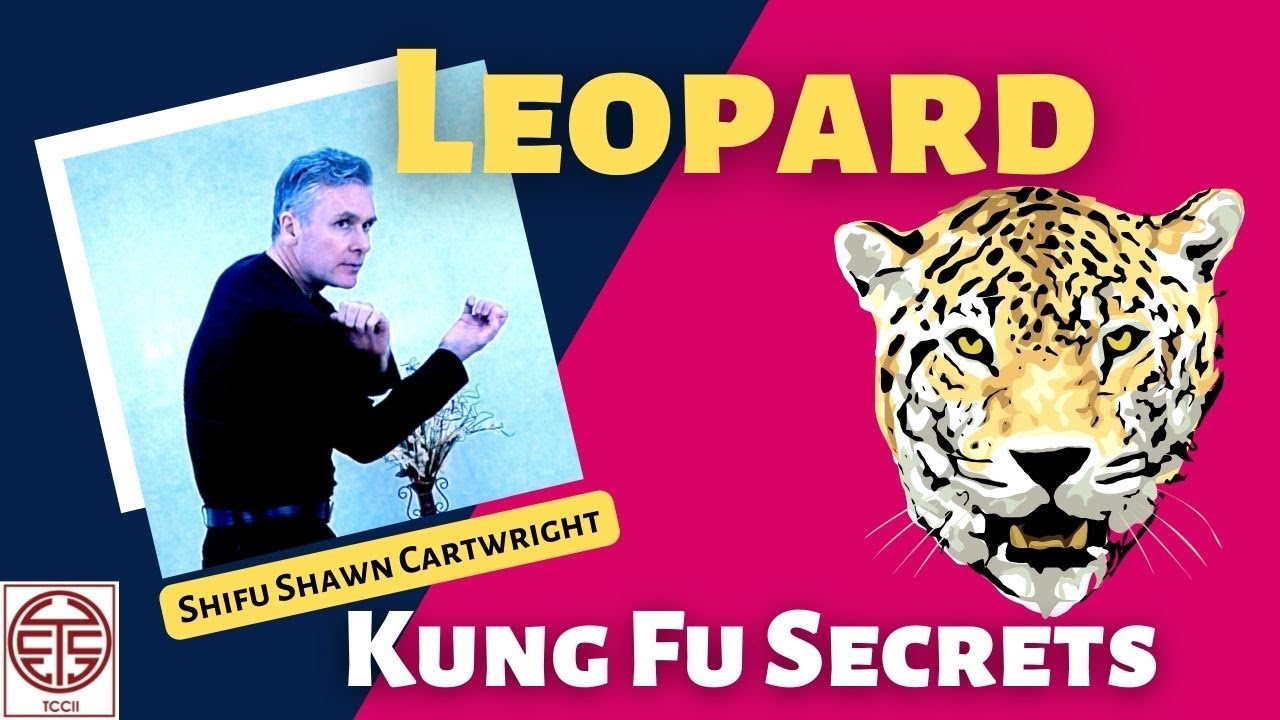 Leopard Kung Fu Style Animal Techniques & Applications - Kung Fu ...