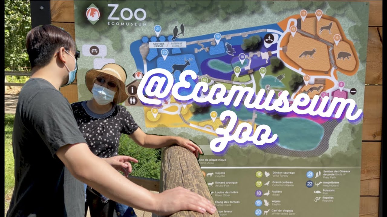 Ecomuseum Zoo & Time Out Market Montreal - YouTube