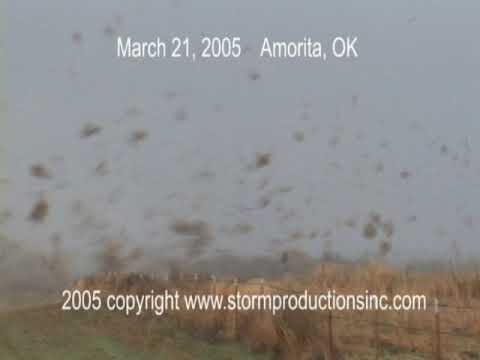 March 21 2005 - YouTube