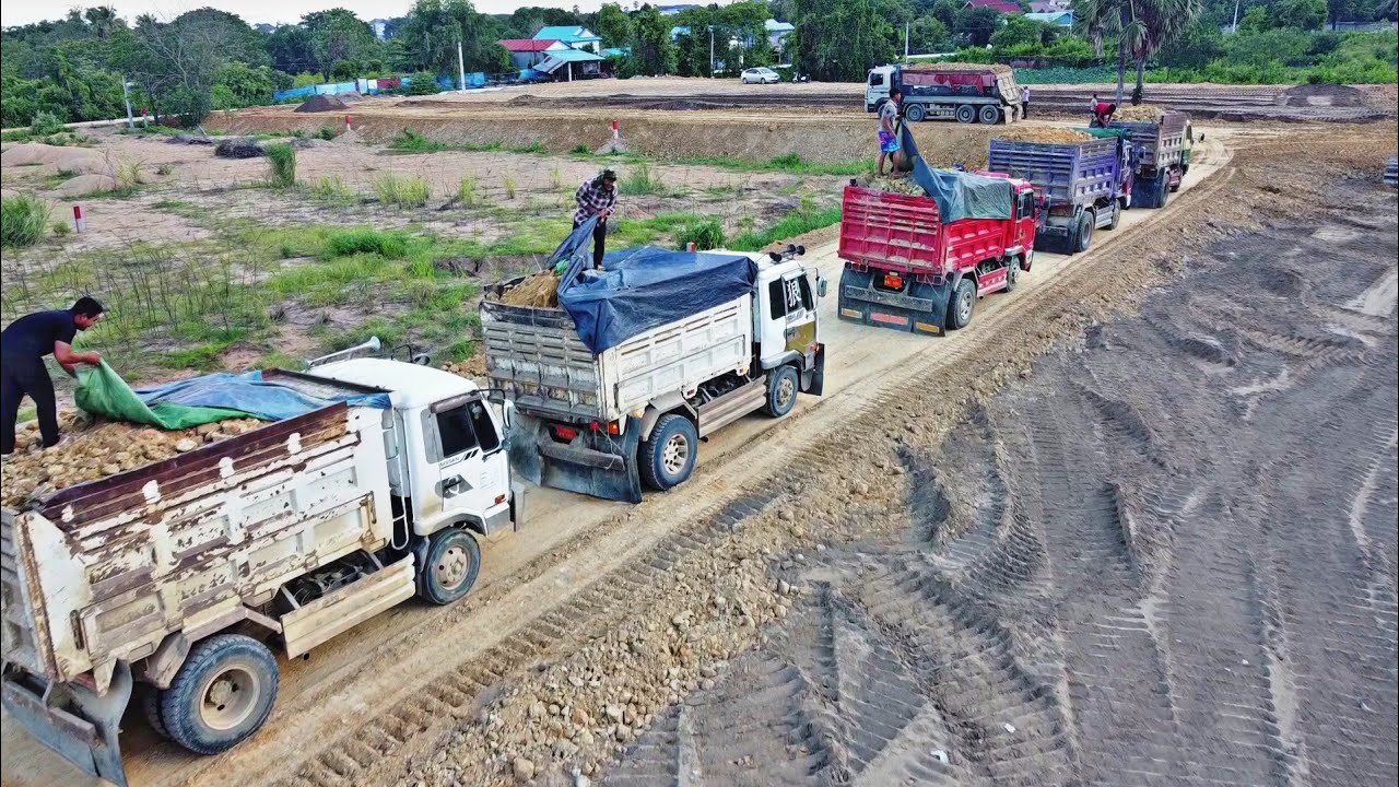 Amazing a lot of Truck !!Bulldozer SHANTUI push soil with mini Damp ...