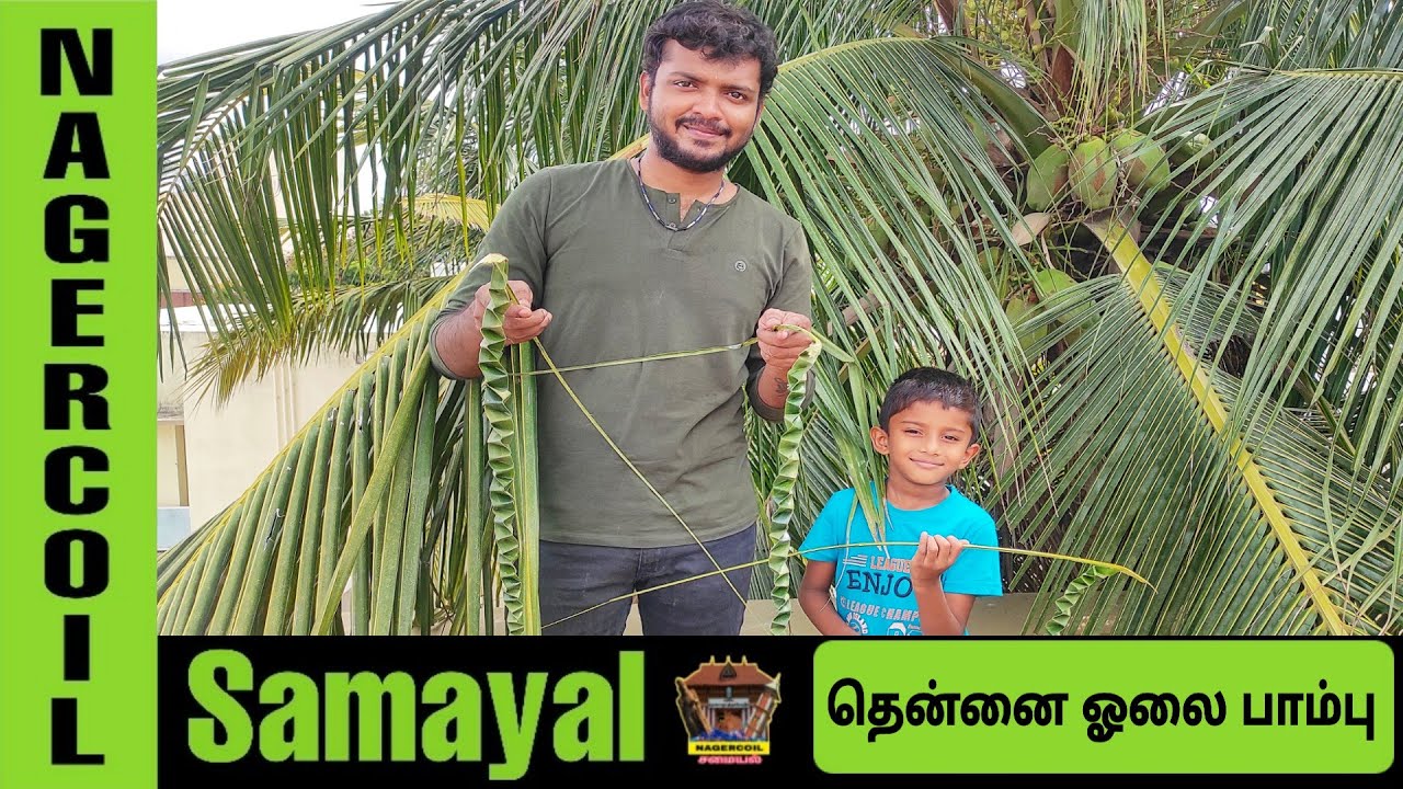 Coconut Tree Leaf Snake | தென்னை ஓலை பாம்பு | Simple Toy Making | 90s ...