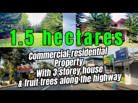 V1091-26 🏠1.5 hectares commercial-residential property w/ 3 storey ...