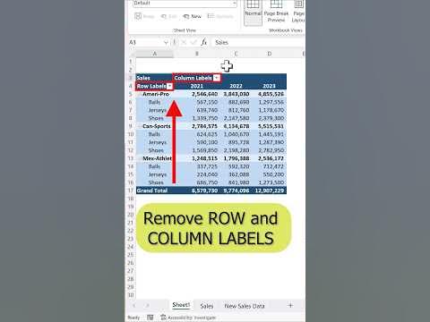 Remove ROW/COLUMN LABELS in pivot table - YouTube