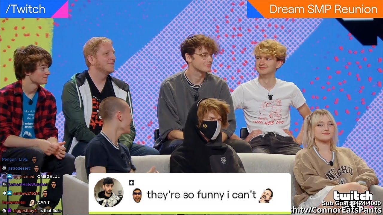 Twitchcon’s Dream SMP Panel made a big mistake… - YouTube