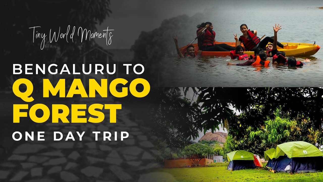 Q Mango Forest Adventure camp | One day trip | Bangalore to Ramanagara ...