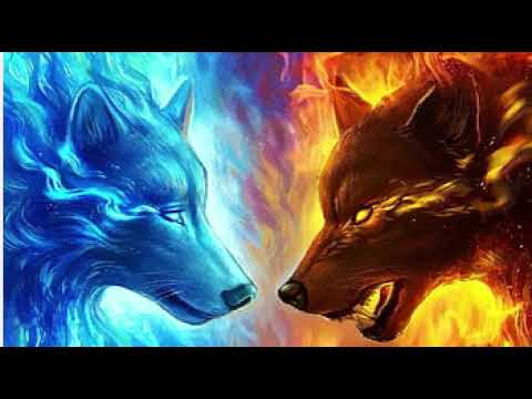 wolf fire vs red