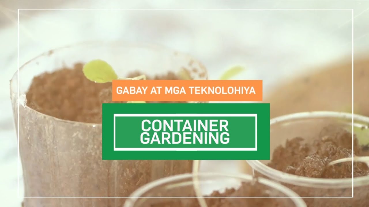 Episode 1 | 2 Easy Learning | Container Gardening - YouTube