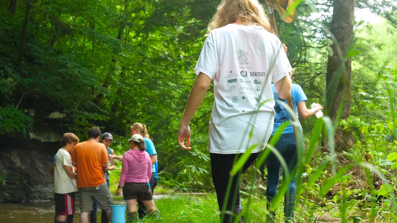 Robinson Forest Summer Field Experience - YouTube