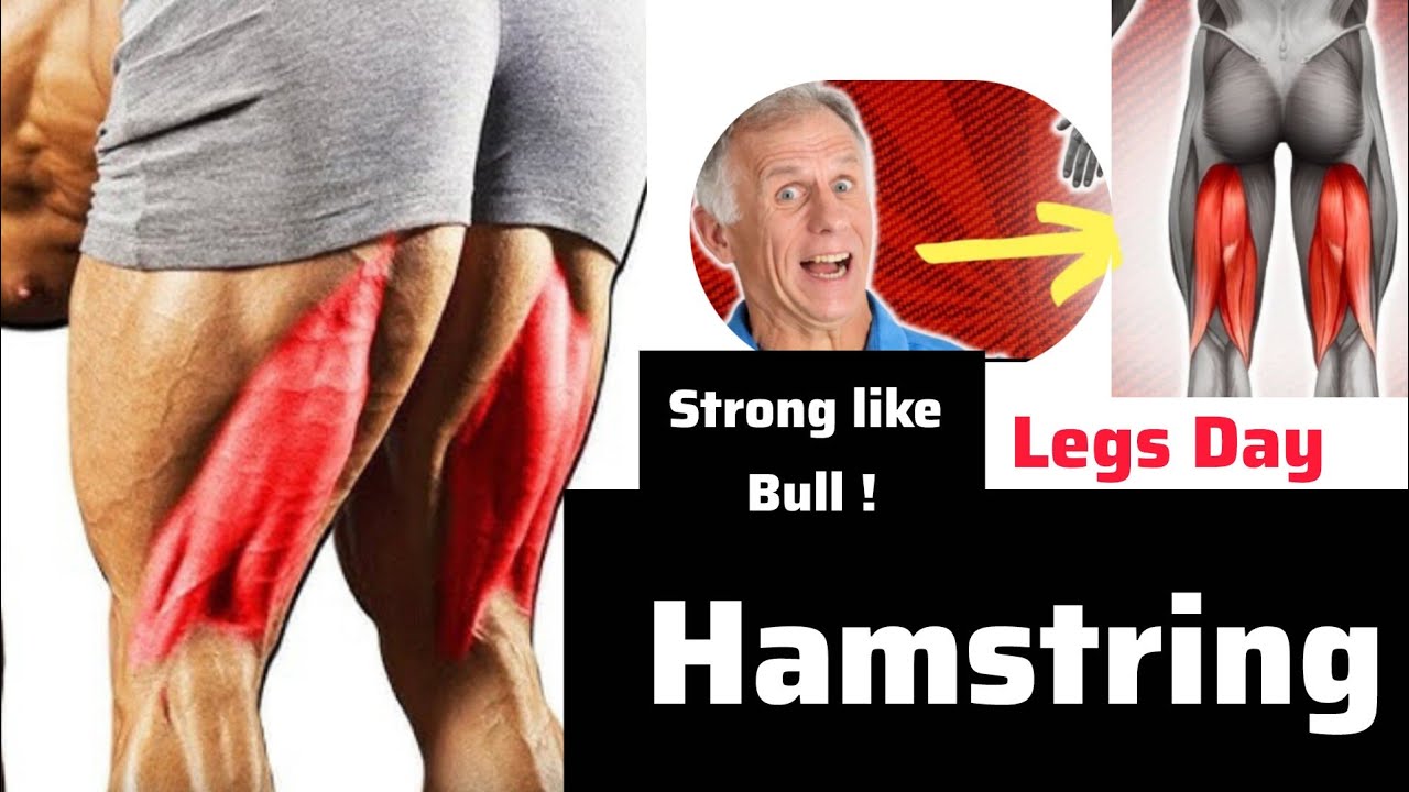 How to Grow your Hamstring legs workout ! Biggest Hamstring! - YouTube