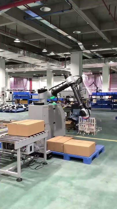 Palletizing Robot#palletizing - YouTube