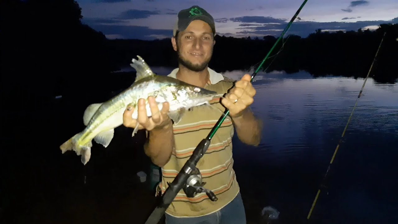 PESCARIA TOP! MANDIZÃO NA PONTA DA LINHA! - YouTube