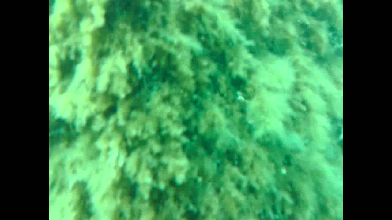 Nordmeer Shipwreck Suba Dive Rockport Michigan August 2013 - YouTube
