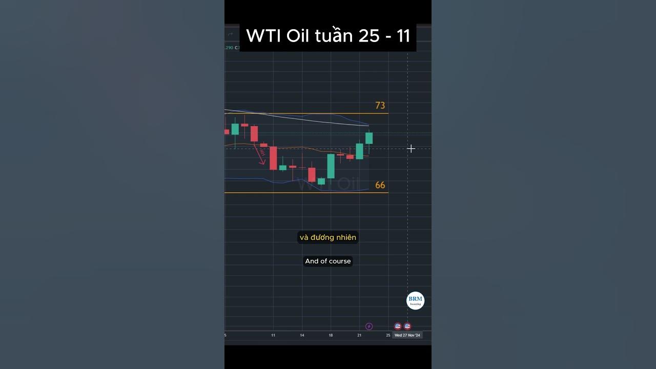 Phân tích kỹ thuật WTI Oil tuần 25 - 11 - YouTube