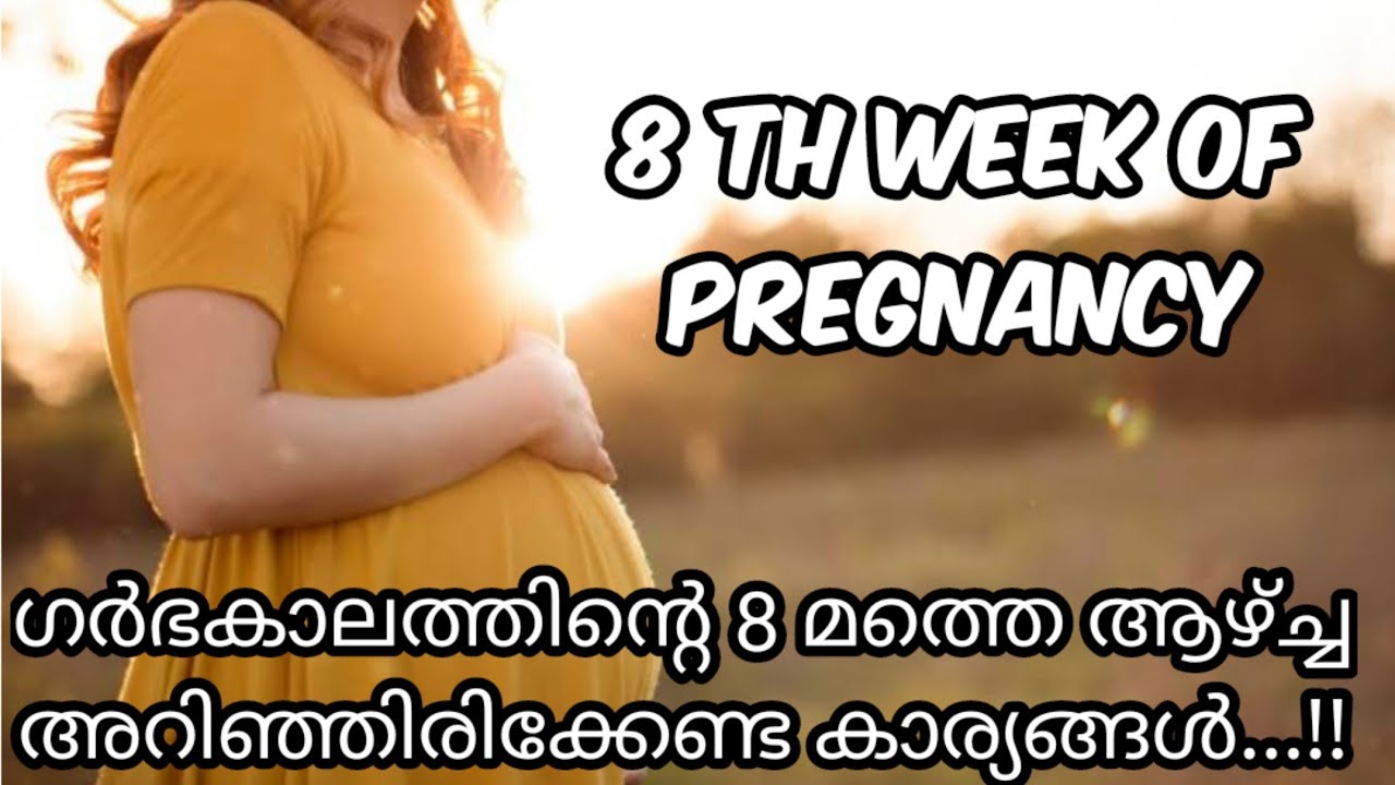 8th Week of Pregnancy Things yo Know Izans World Malayalam - YouTube
