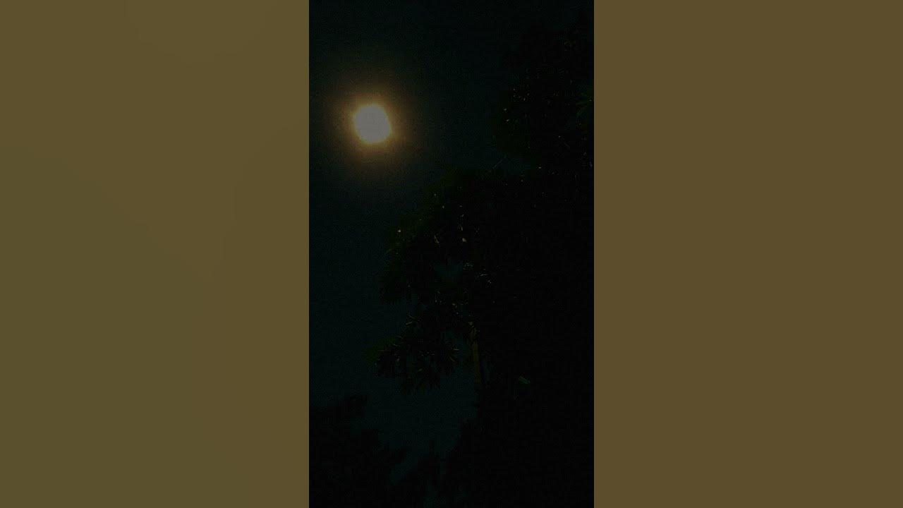 TikTok :- Tamim_7x Instagram :- Tamim_7x #tamim_broh - YouTube