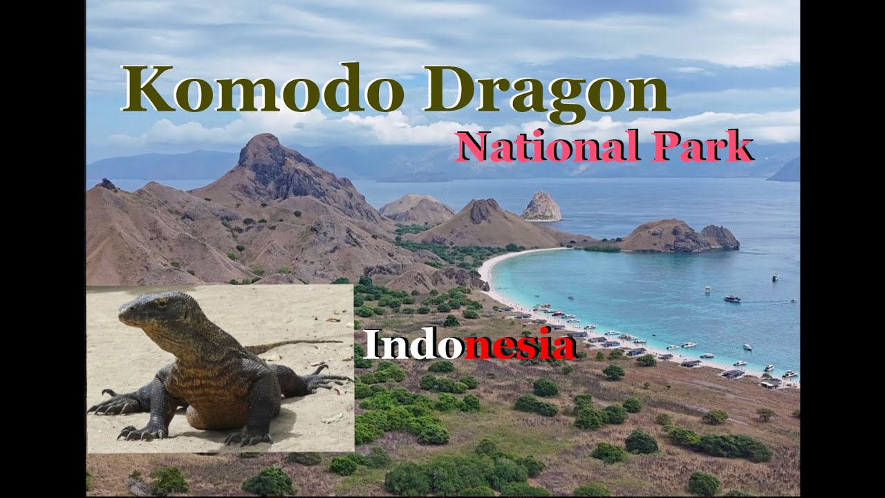 Komodo Dragon National Park, Indonesia | Amazing day tour to this World ...