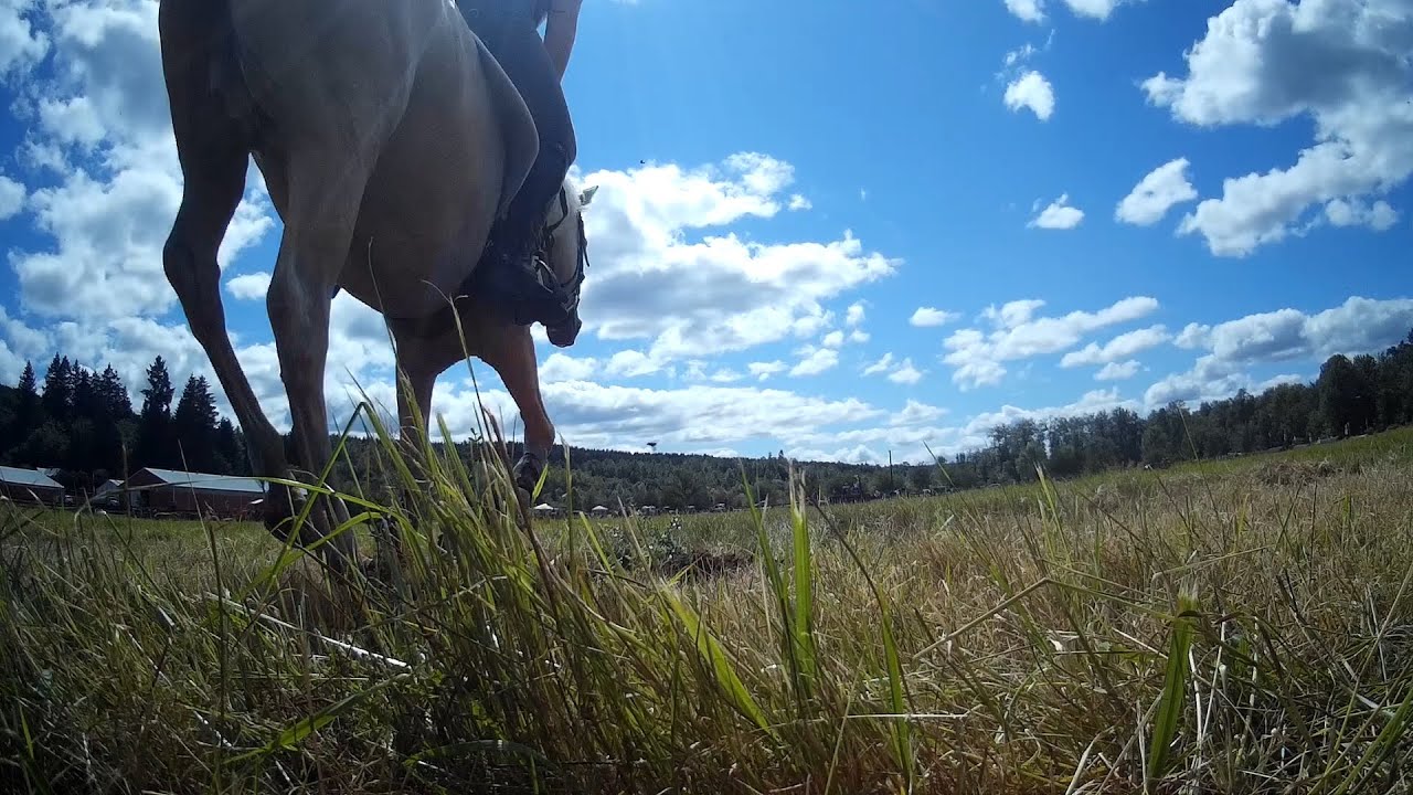 Video Highlights from the Chehalis Valley PC Benefit Horse Trial, July ...