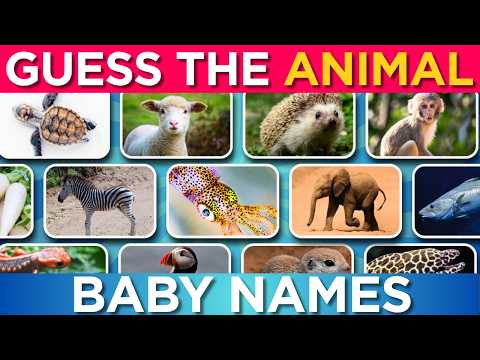 Guess The Baby Animal Name | 40 Animals Quiz