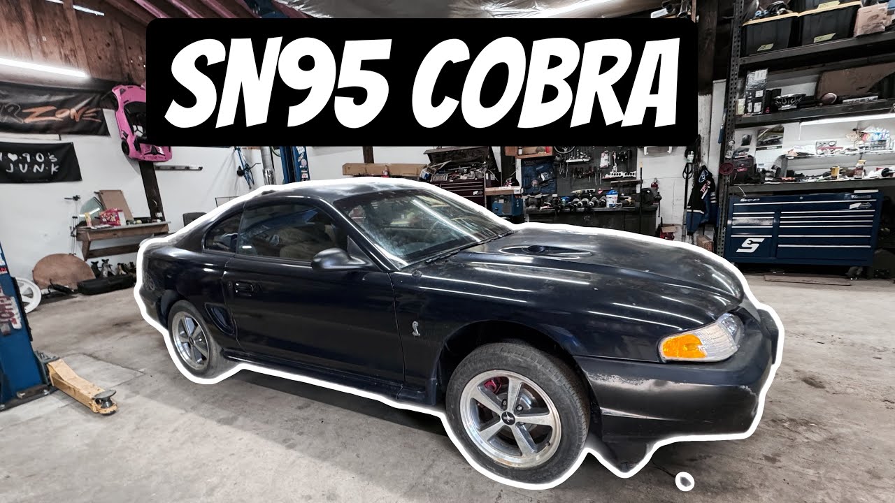 Sn95 SVT COBRA revival!! Is it Worth fixing?! - YouTube