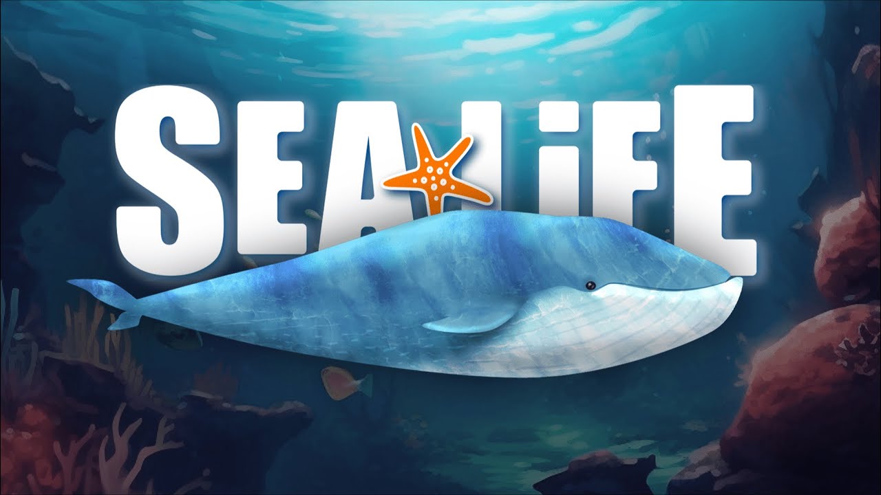 Dragonfly Productions - SEALIFE Animated Commercial - YouTube