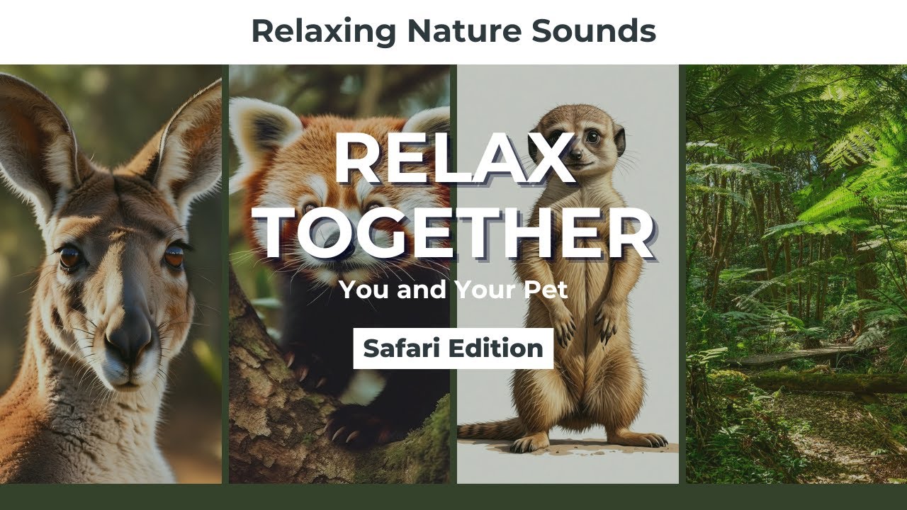 Calm Your Mind and Soothe Your Pet with Relaxing Safari Music - YouTube