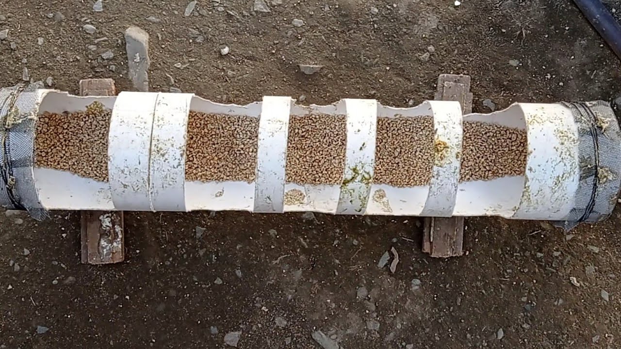 pigeon Feeding Tray||HR Pigeons - YouTube