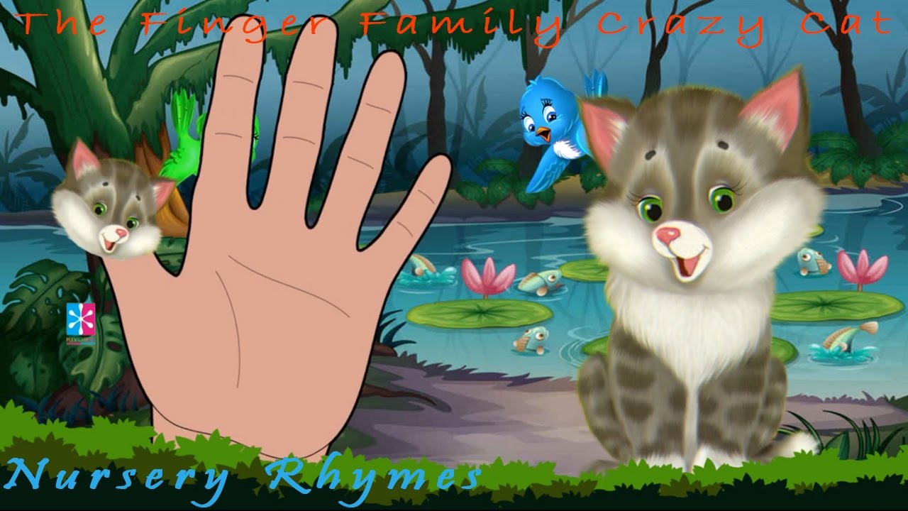 The Finger Family Crazy Cat || Finger Family Nursery Rhymes & Songs For ...
